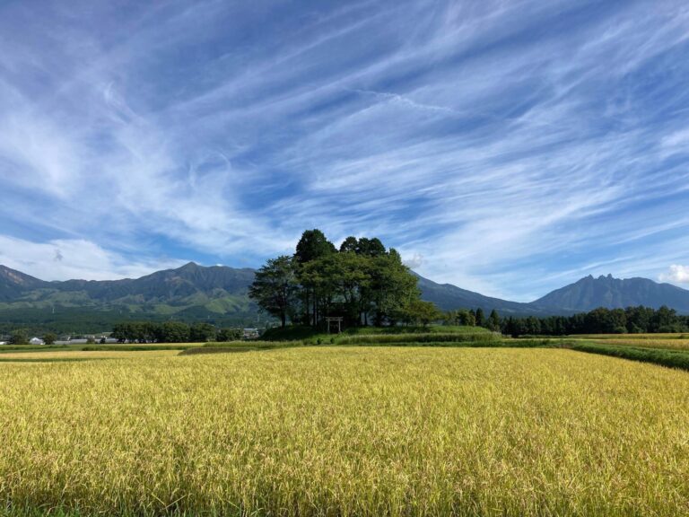 資料室 - O2FarmWeb